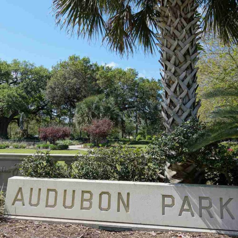 Orlando Travel Guide For Unforgettable Adventures - Travelarii