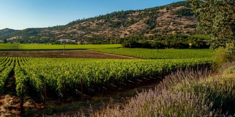 7 Best Places to Visit in California in January to Avoid the Crowds ...