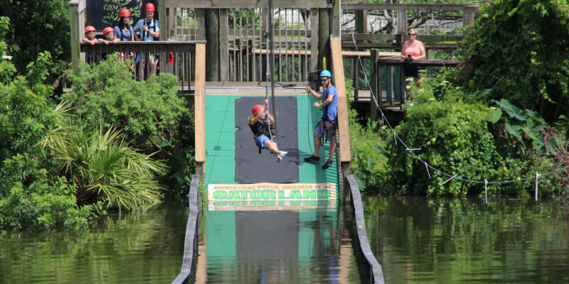 Best Time to Visit Gatorland for an Enjoyable Experience!