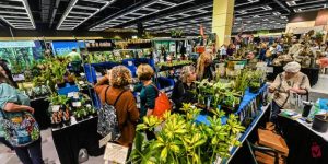 Festivals and Events in Seattle You Might Wanna Catch in 2026